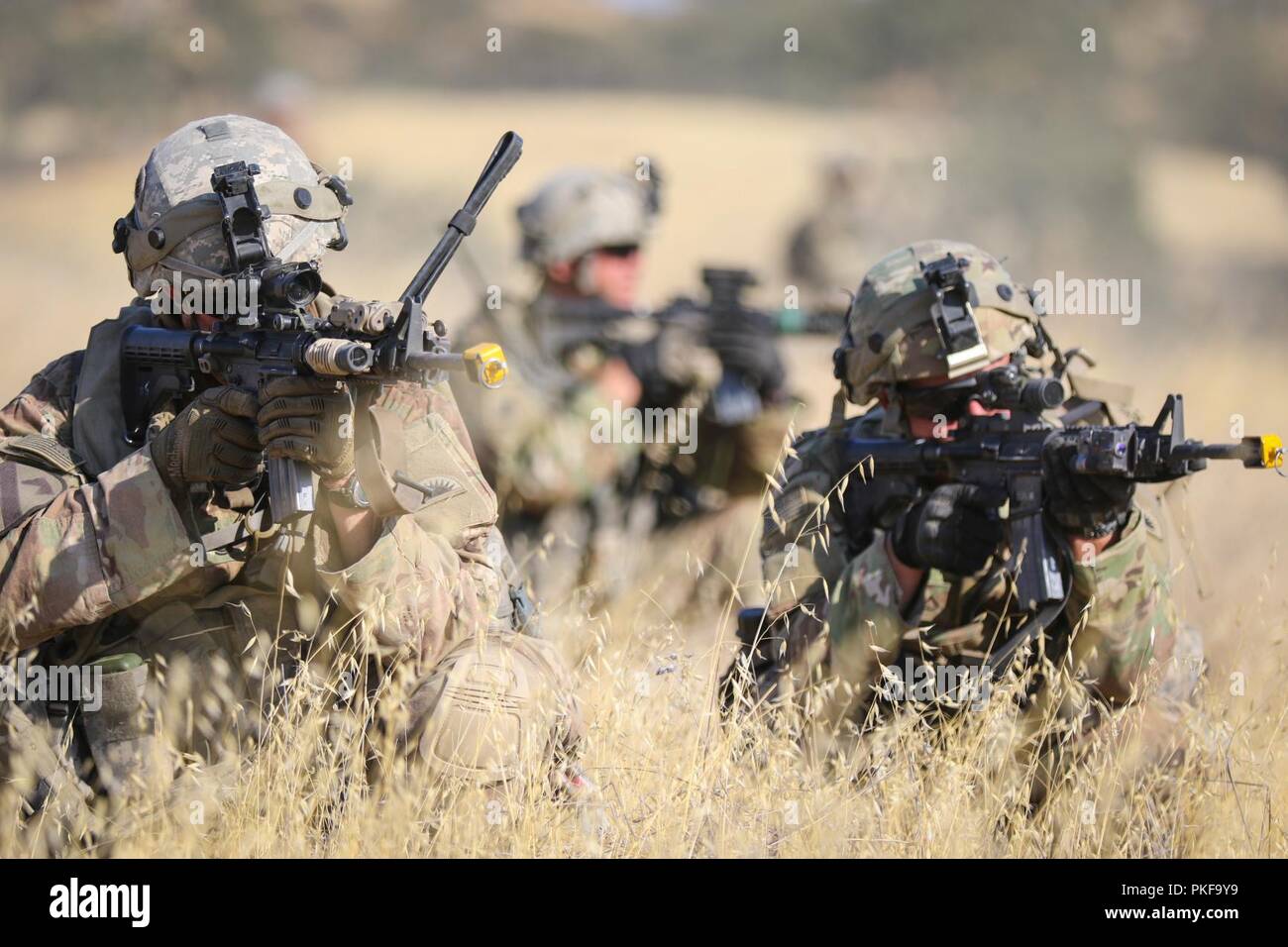 1st battalion 186th infantry200 infantry hi-res stock photography and ...