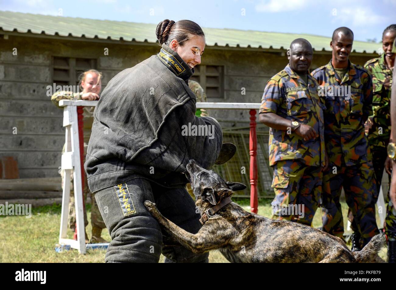 Navy kennel master hi-res stock photography and images - Alamy