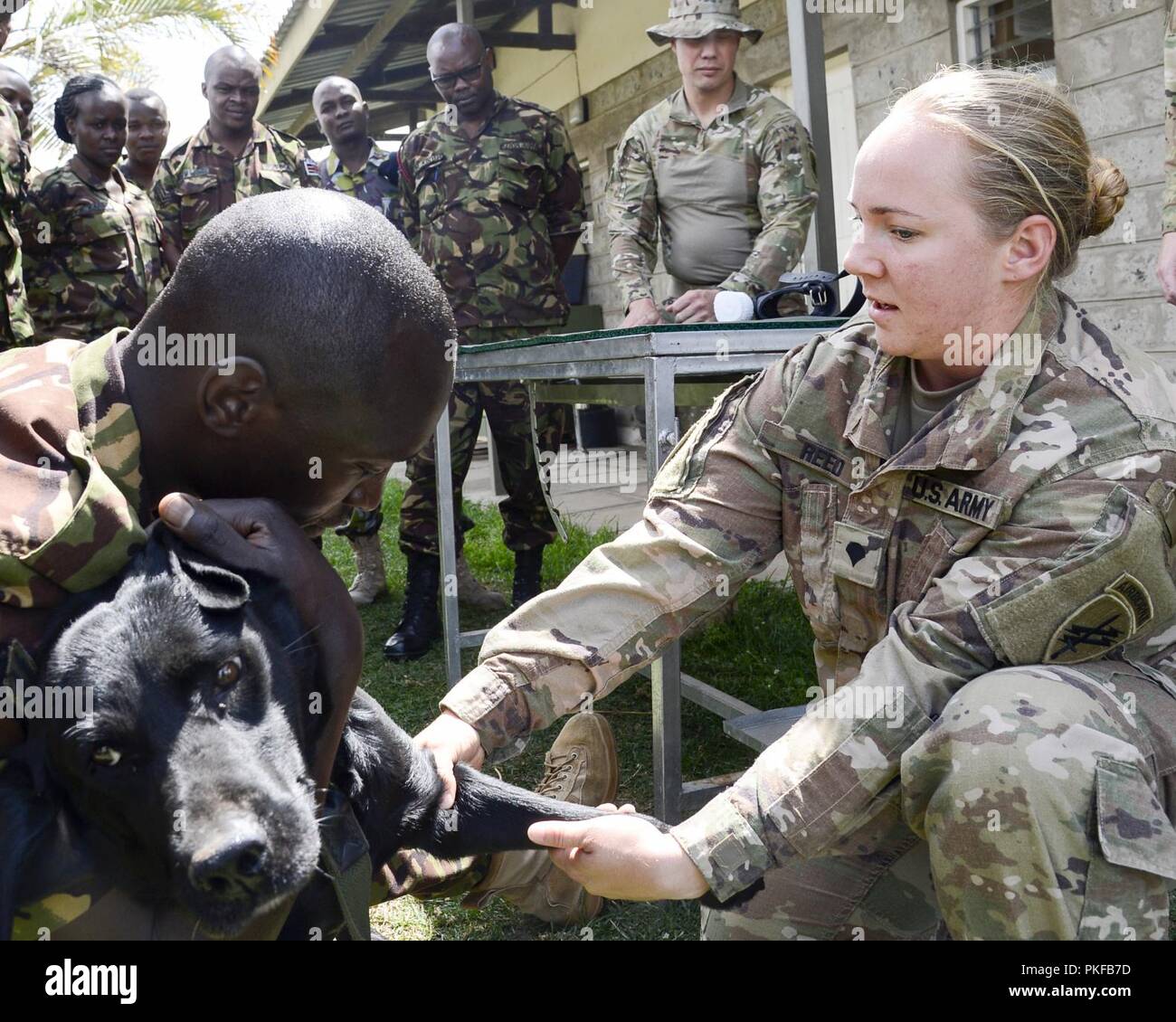 Kenya defense forces hi-res stock photography and images - Alamy
