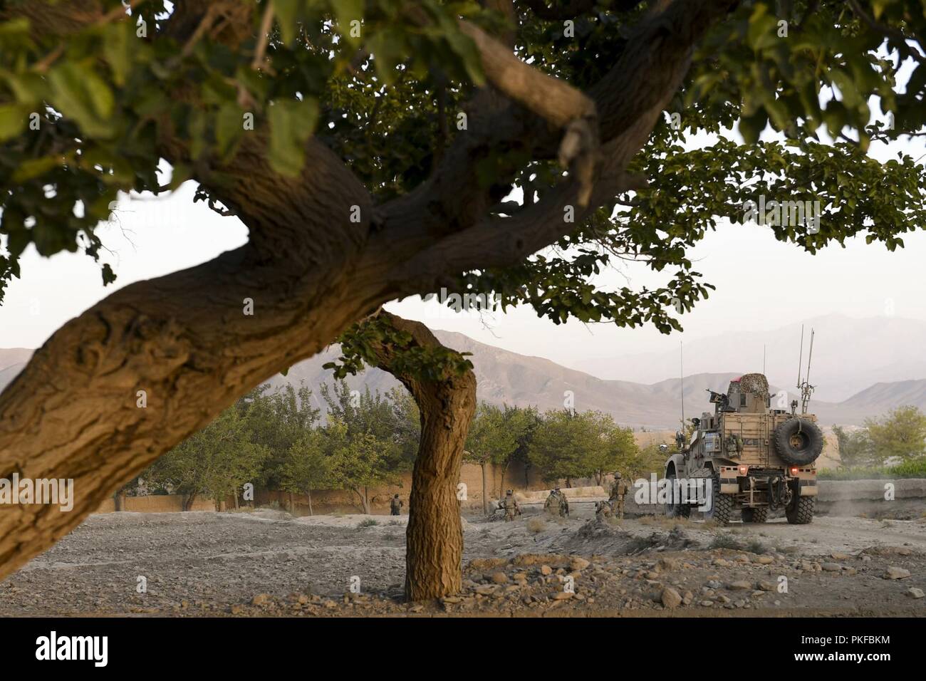 Sojtf a hi-res stock photography and images - Alamy