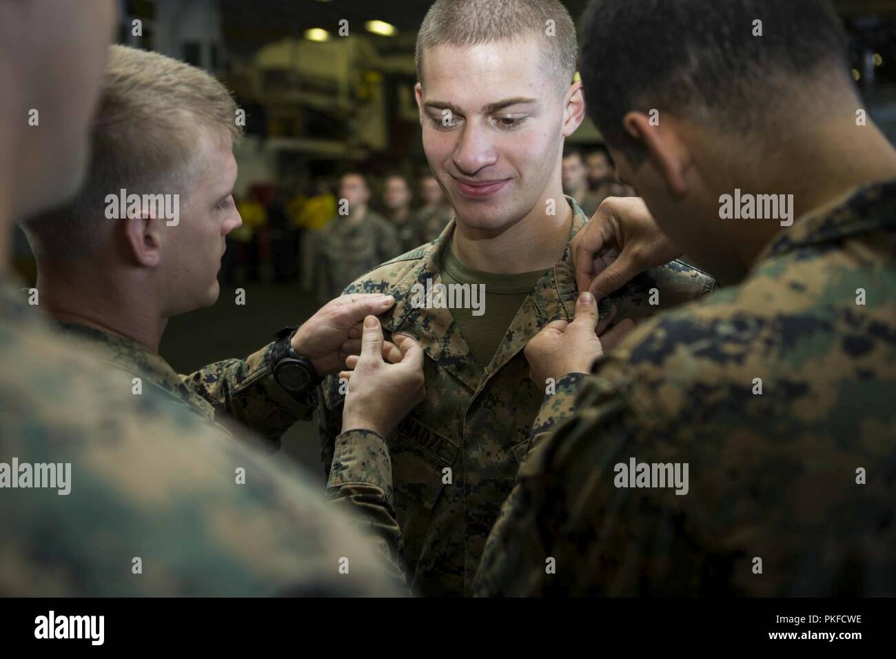 Blt 1 8 hi-res stock photography and images - Alamy