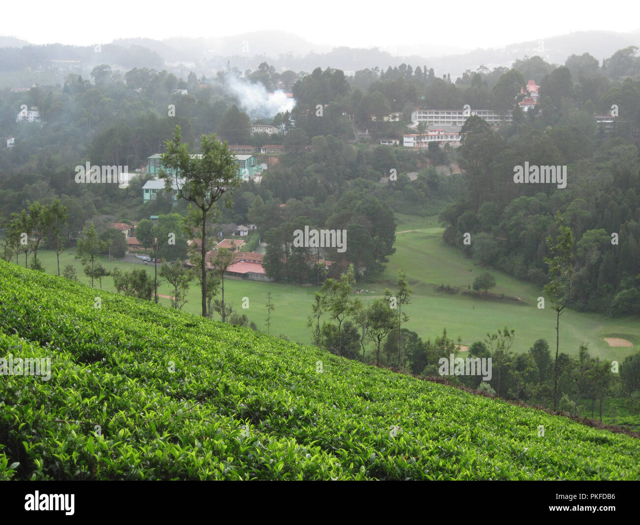 Undulating golf course hi-res stock photography and images - Alamy