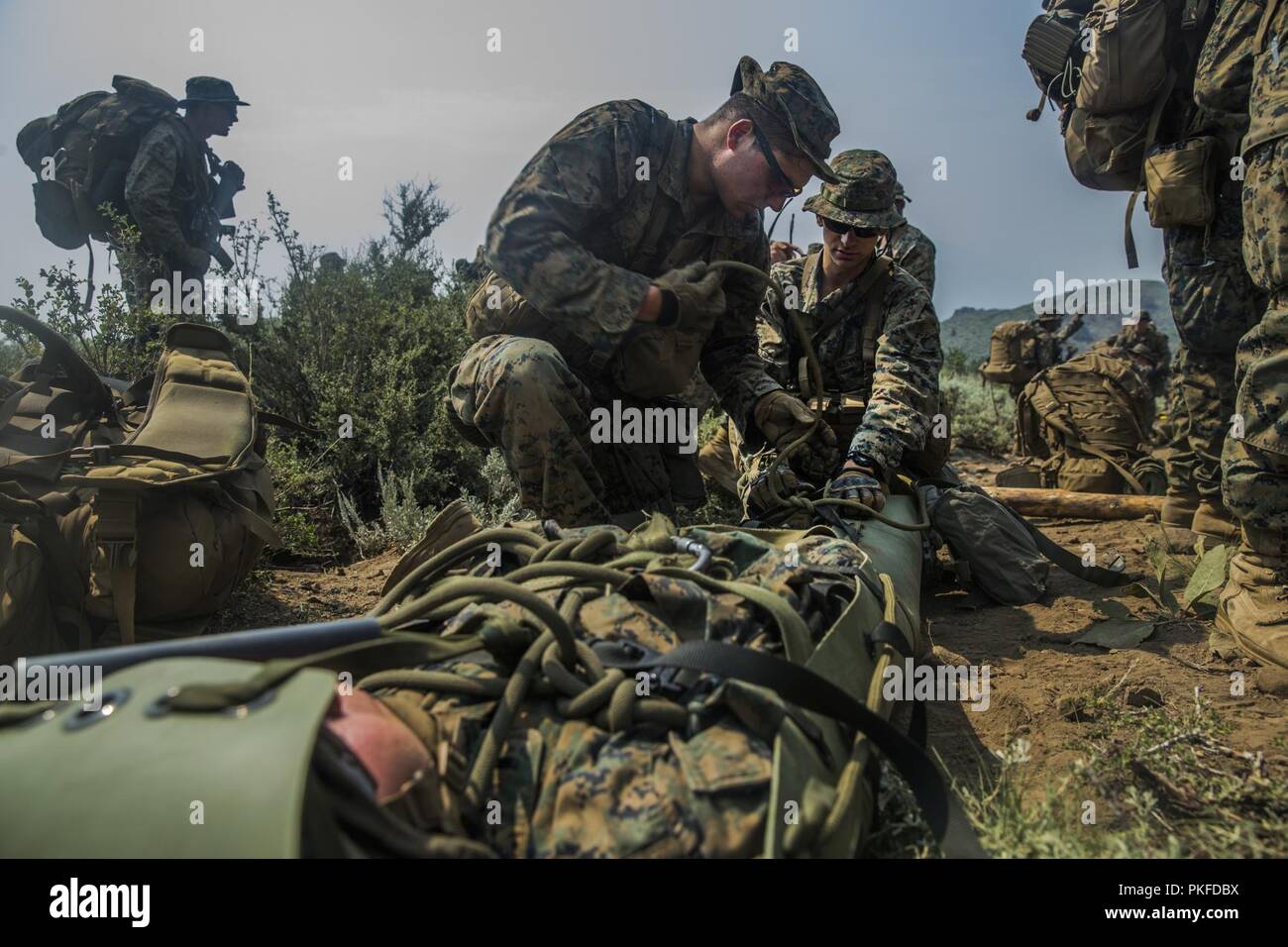 Mwtc hi-res stock photography and images - Alamy