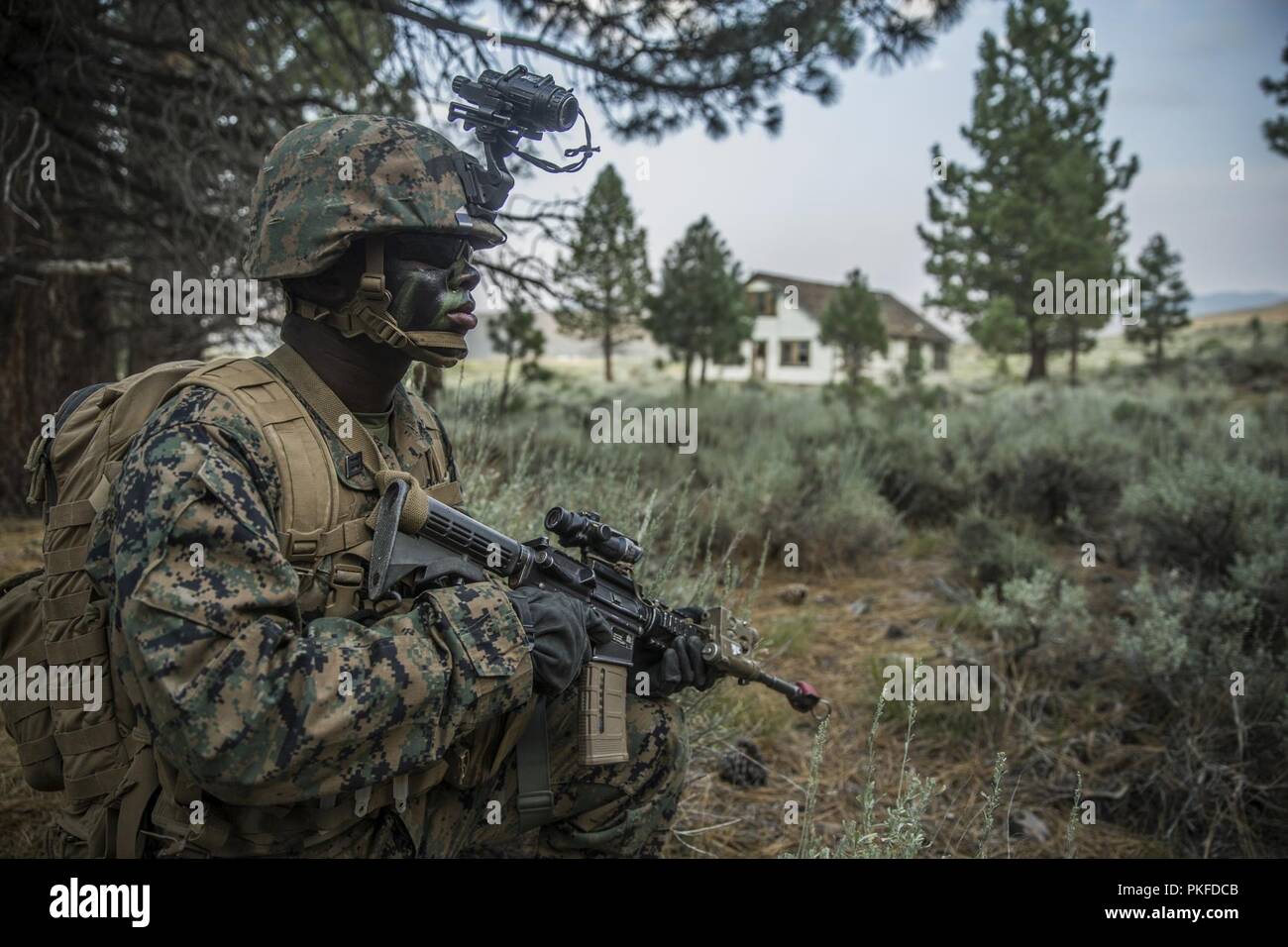 Marine Corps Mountain Warfare Training Center Bridgeport, CA – Seaman ...