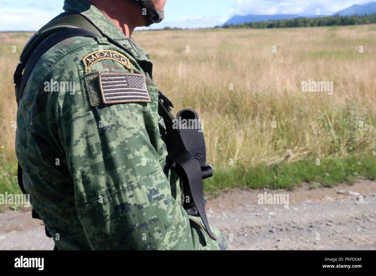 Mexican army special forces hi-res stock photography and images - Alamy