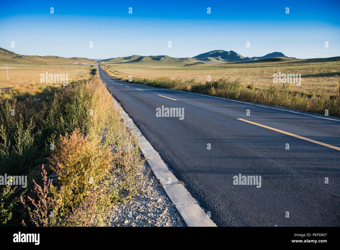 Grass low angle feature hi-res stock photography and images - Alamy