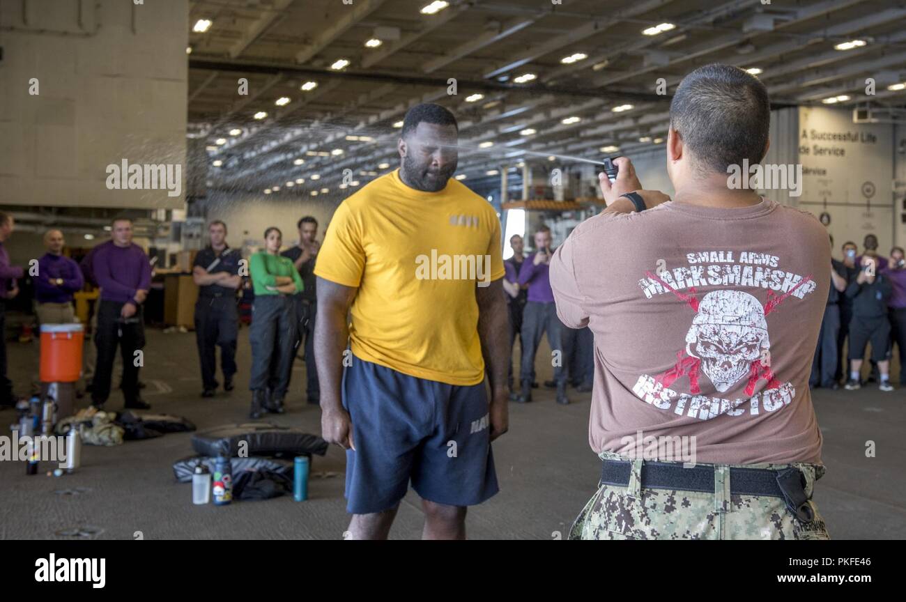 ATLANTIC OCEAN (Aug. 10, 2018) Aviation Boatswain's Mate (Fuel) Airman ...