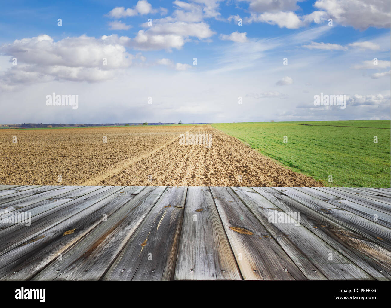 Agricultural product display hi-res stock photography and images - Alamy