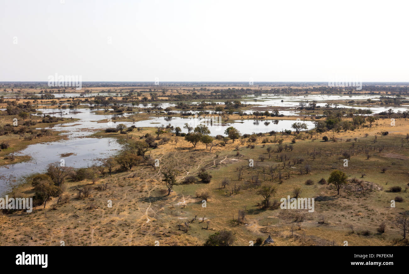 Okavango Delta aerial view, Botswana's stunning landscape Stock Photo ...