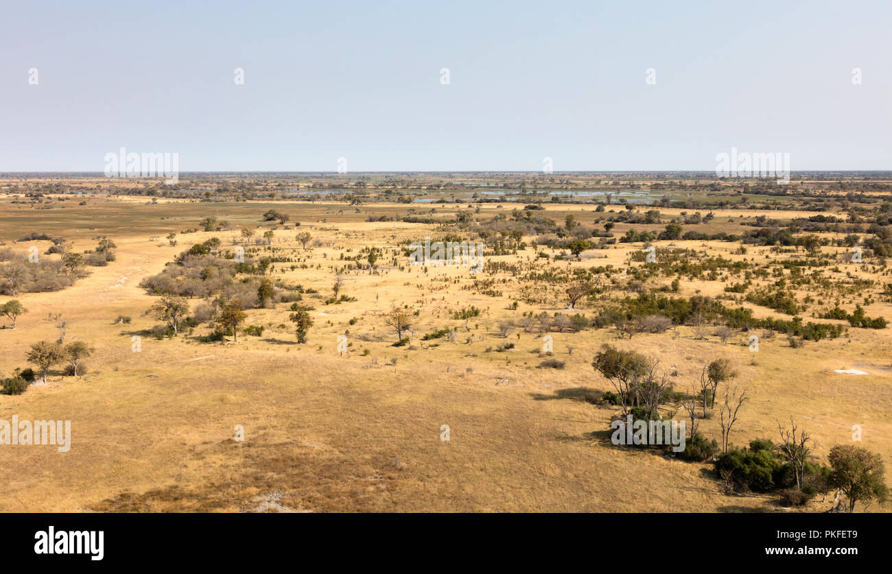 Okavango Delta aerial view, Botswana's stunning landscape Stock Photo ...