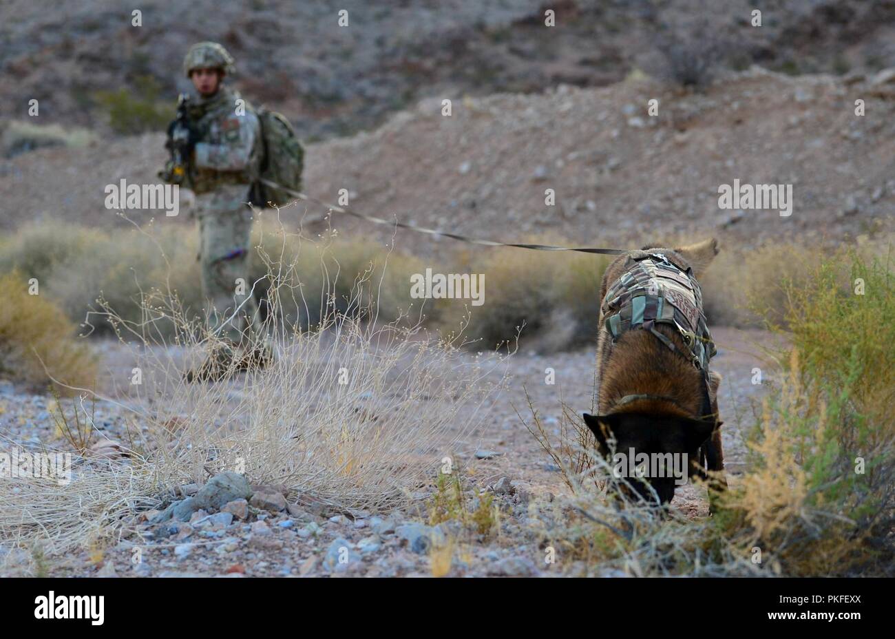 Staff Sgt. Juan Hinojosa, 99th Security Forces Squadron military ...