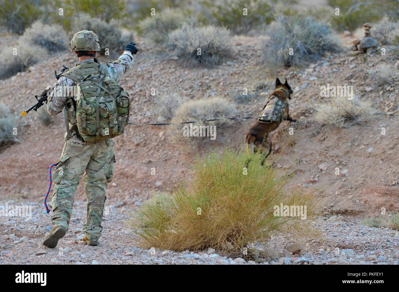 99th sfs hi-res stock photography and images - Alamy