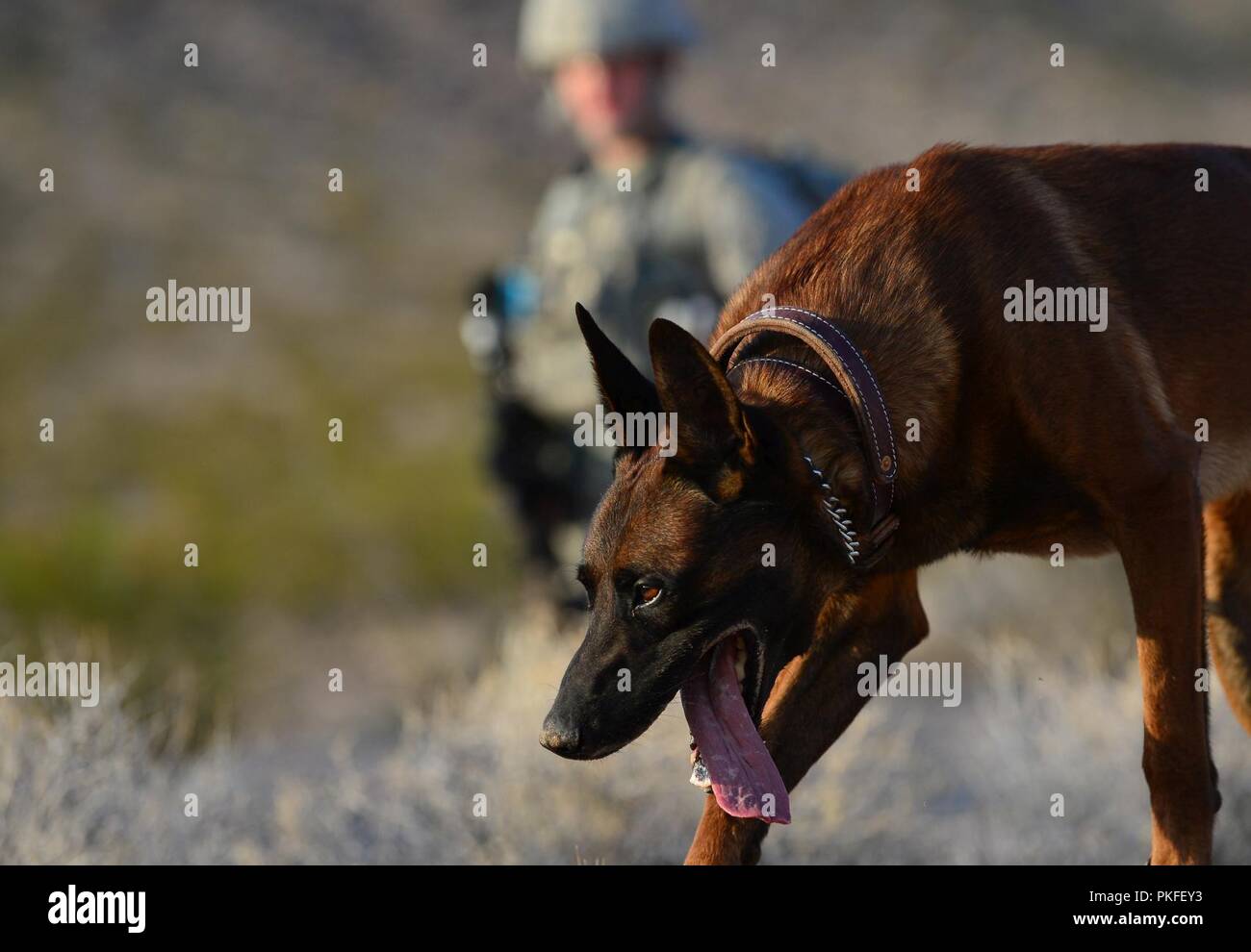 100 security forces squadron hi-res stock photography and images - Alamy
