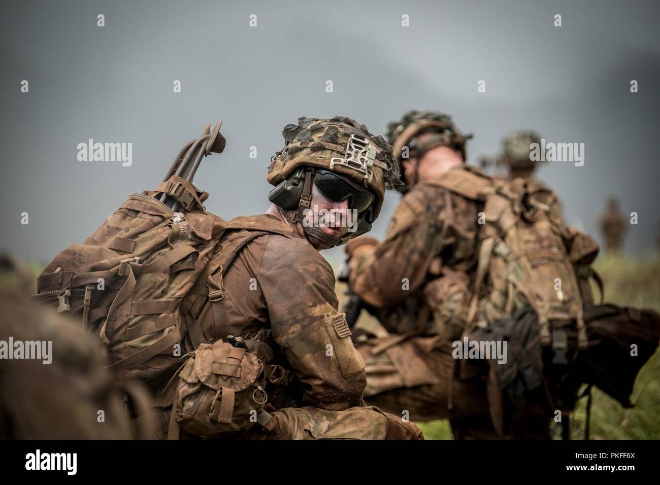 1st battalion 21st infantry regiment gimlets hi-res stock photography ...