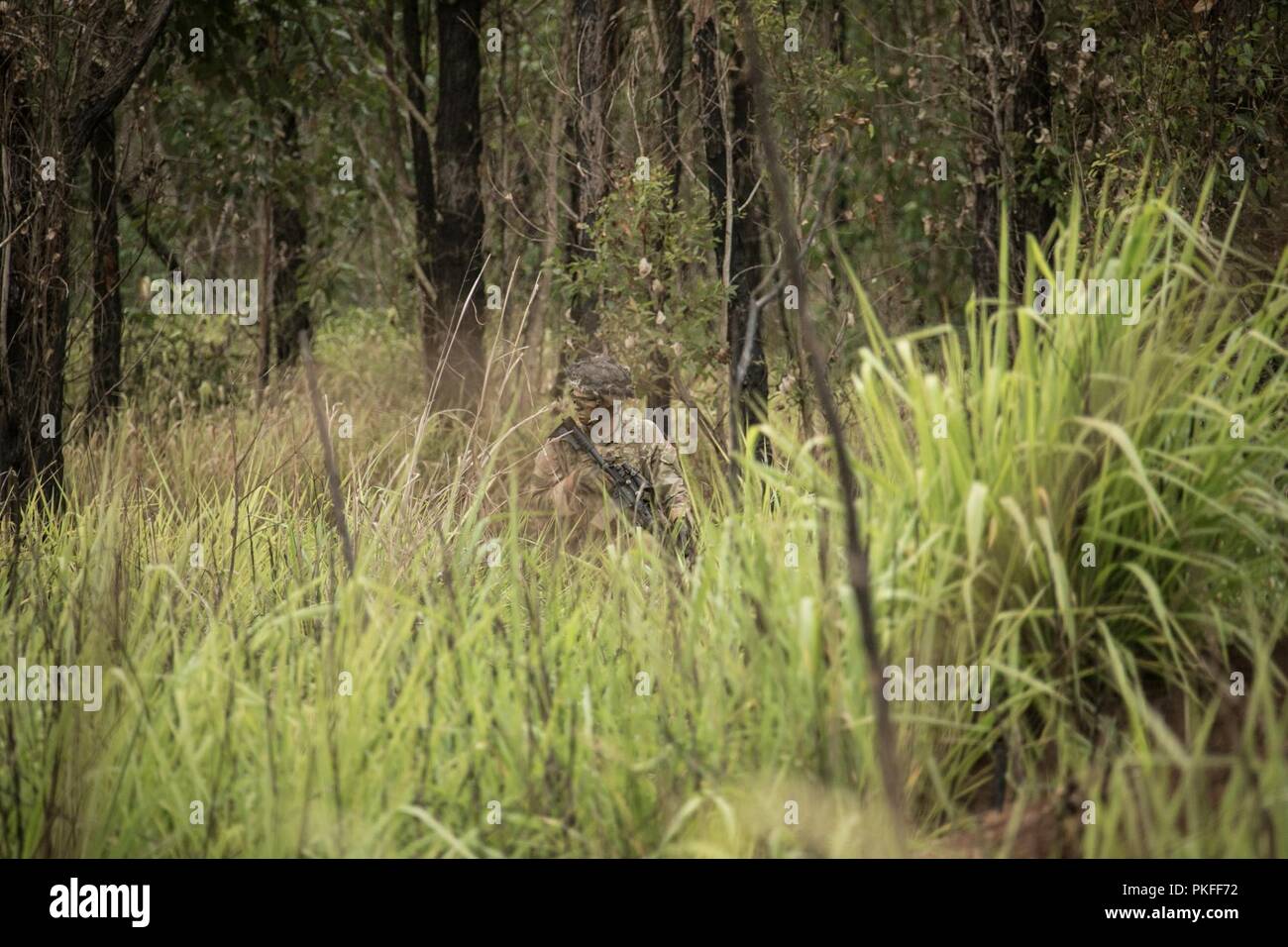1st battalion 21st infantry regiment gimlets hi-res stock photography ...