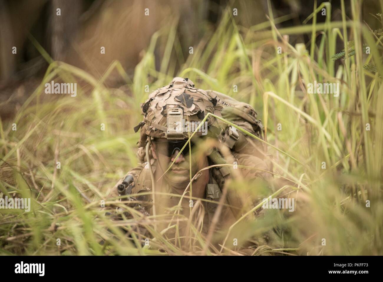 1st battalion 21st infantry regiment gimlets hi-res stock photography ...