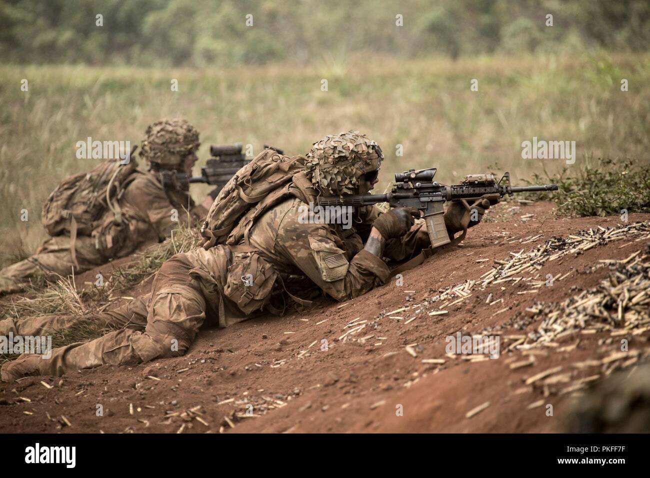 1st battalion 21st infantry regiment gimlets hi-res stock photography ...