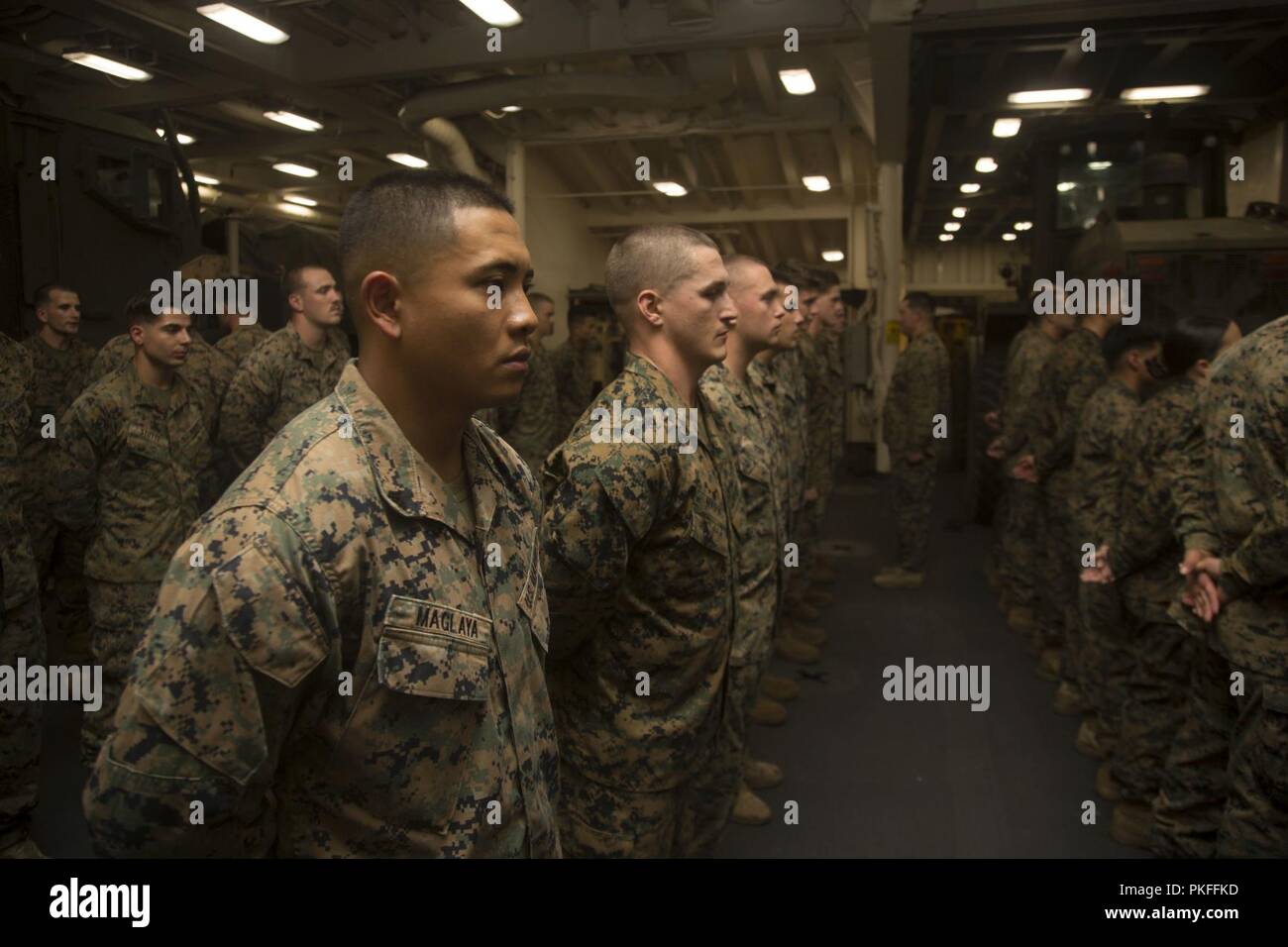 Us marines inspection hi-res stock photography and images - Alamy
