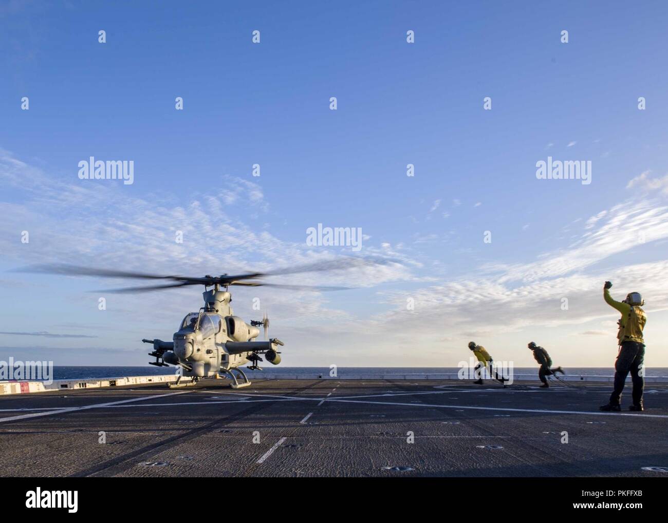 Chain viper hi-res stock photography and images - Alamy