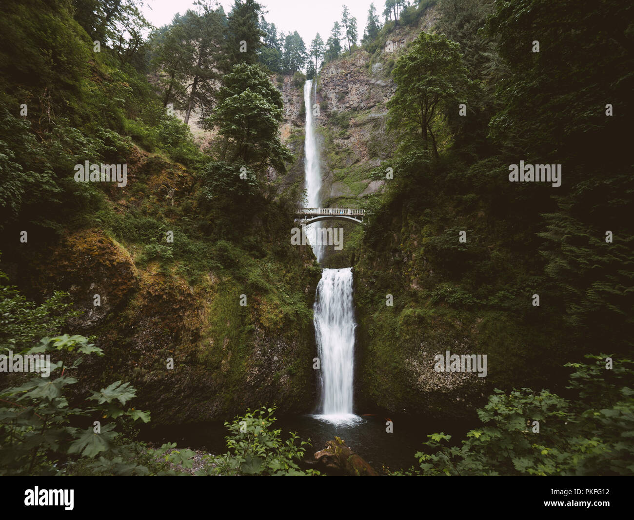 Top Of Multnomah Falls