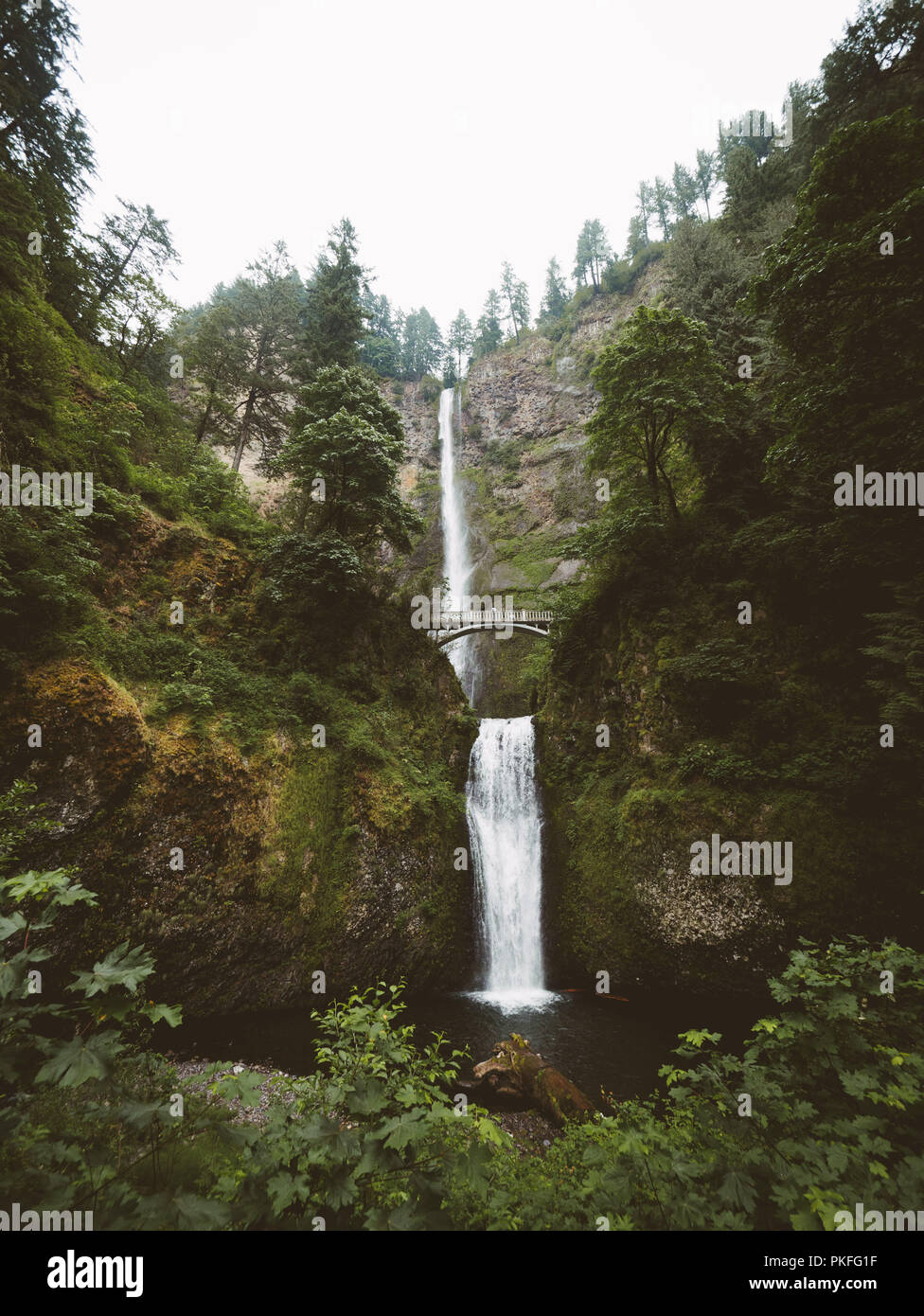 Portland Multnomah Falls Aerial Drone Flight Top Down Stock Photo - Alamy