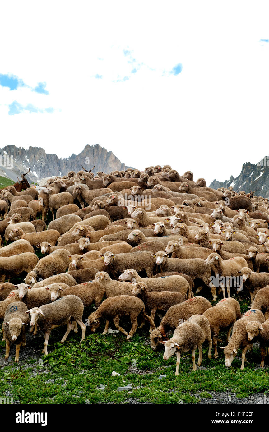 Plan de francia hi-res stock photography and images - Alamy