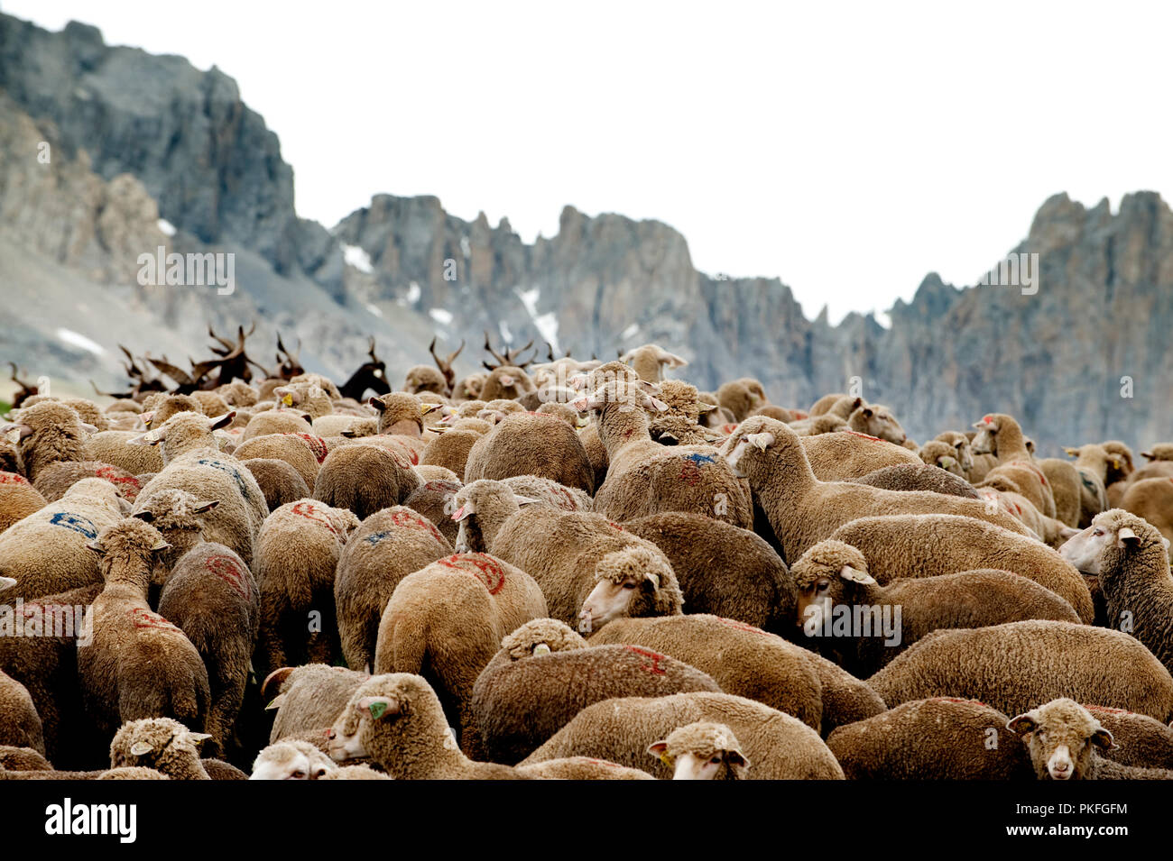 Plan de francia hi-res stock photography and images - Alamy