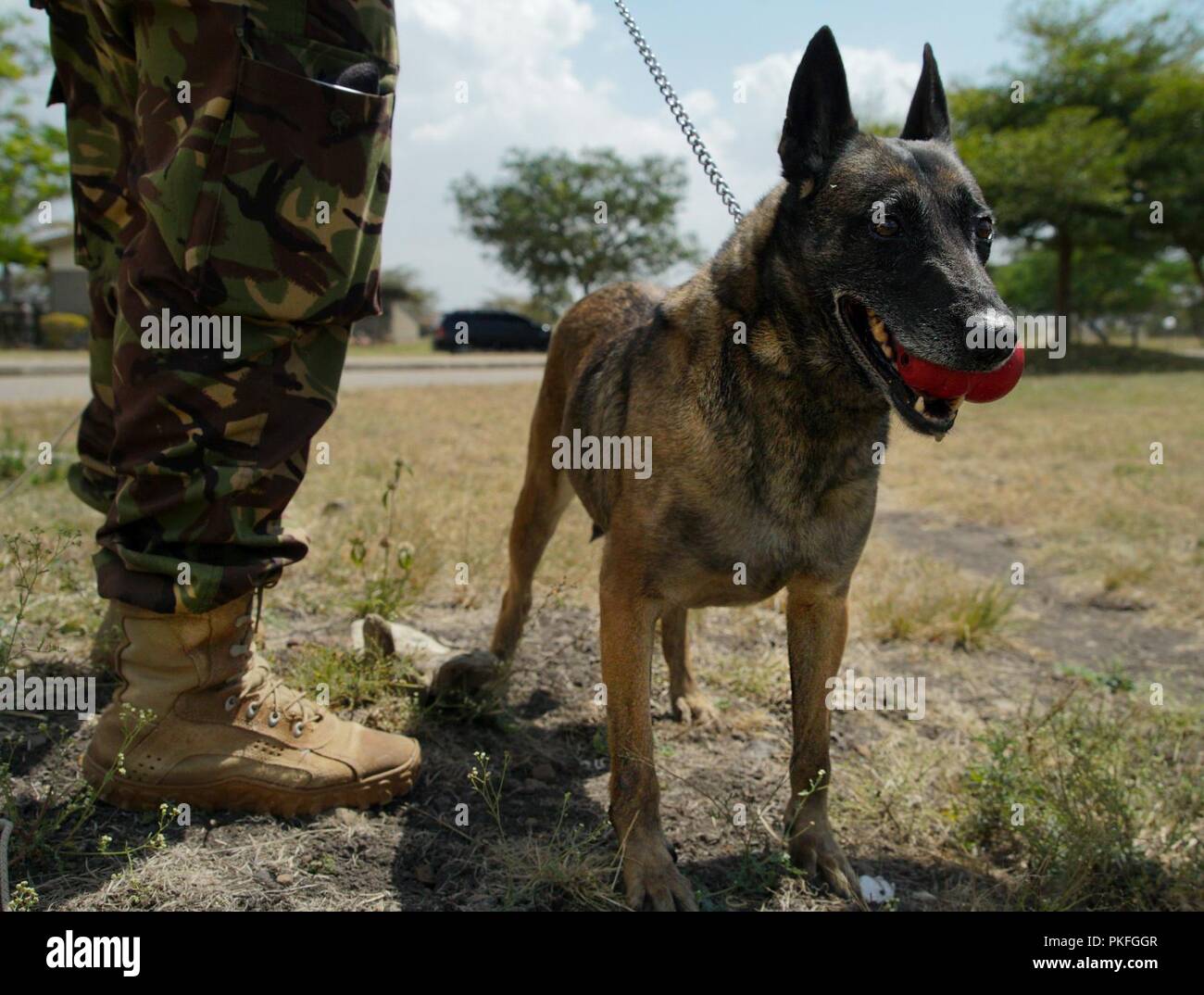 Kenya defense forces hi-res stock photography and images - Alamy
