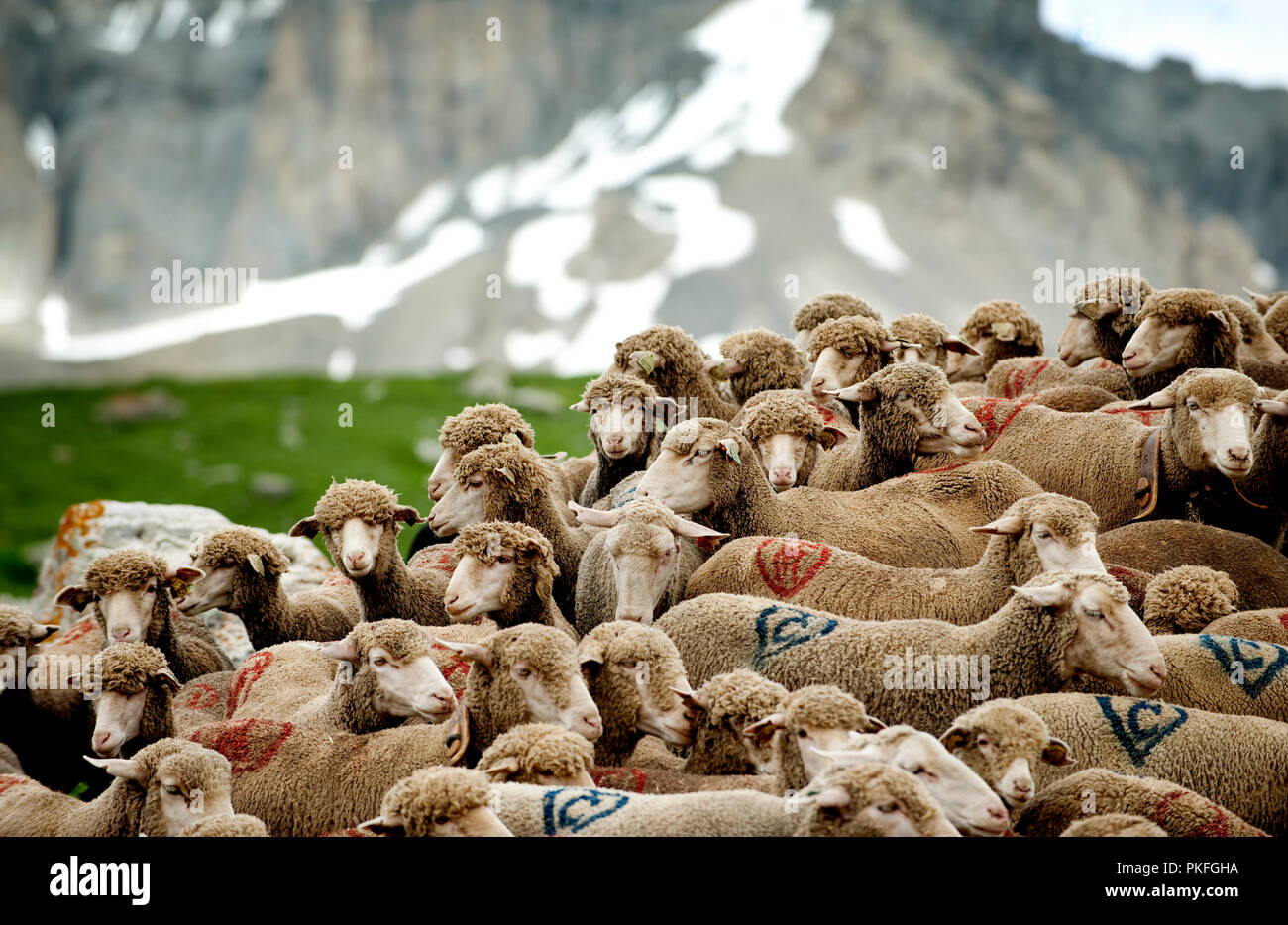 Plan de francia hi-res stock photography and images - Alamy