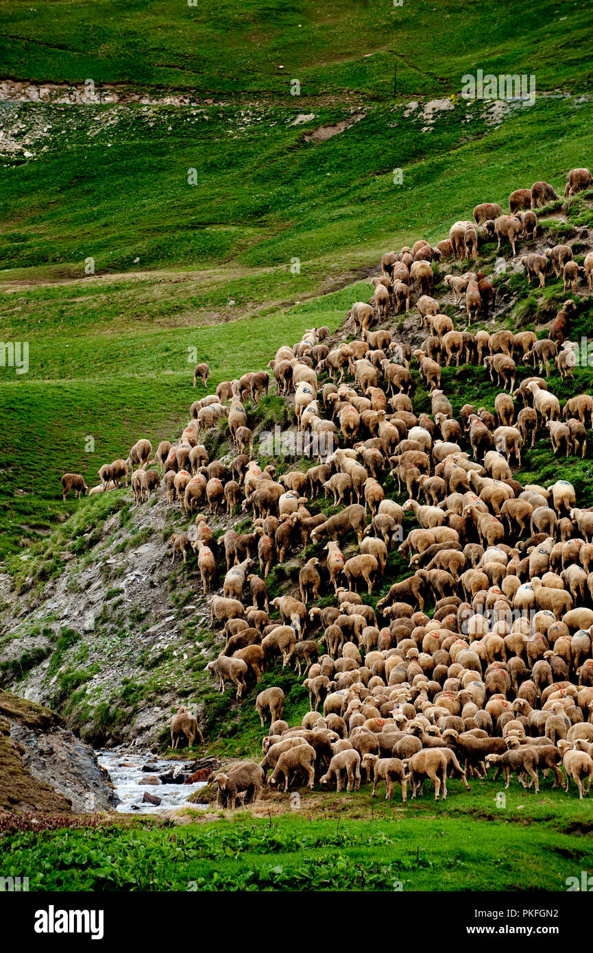 Plan de francia hi-res stock photography and images - Alamy