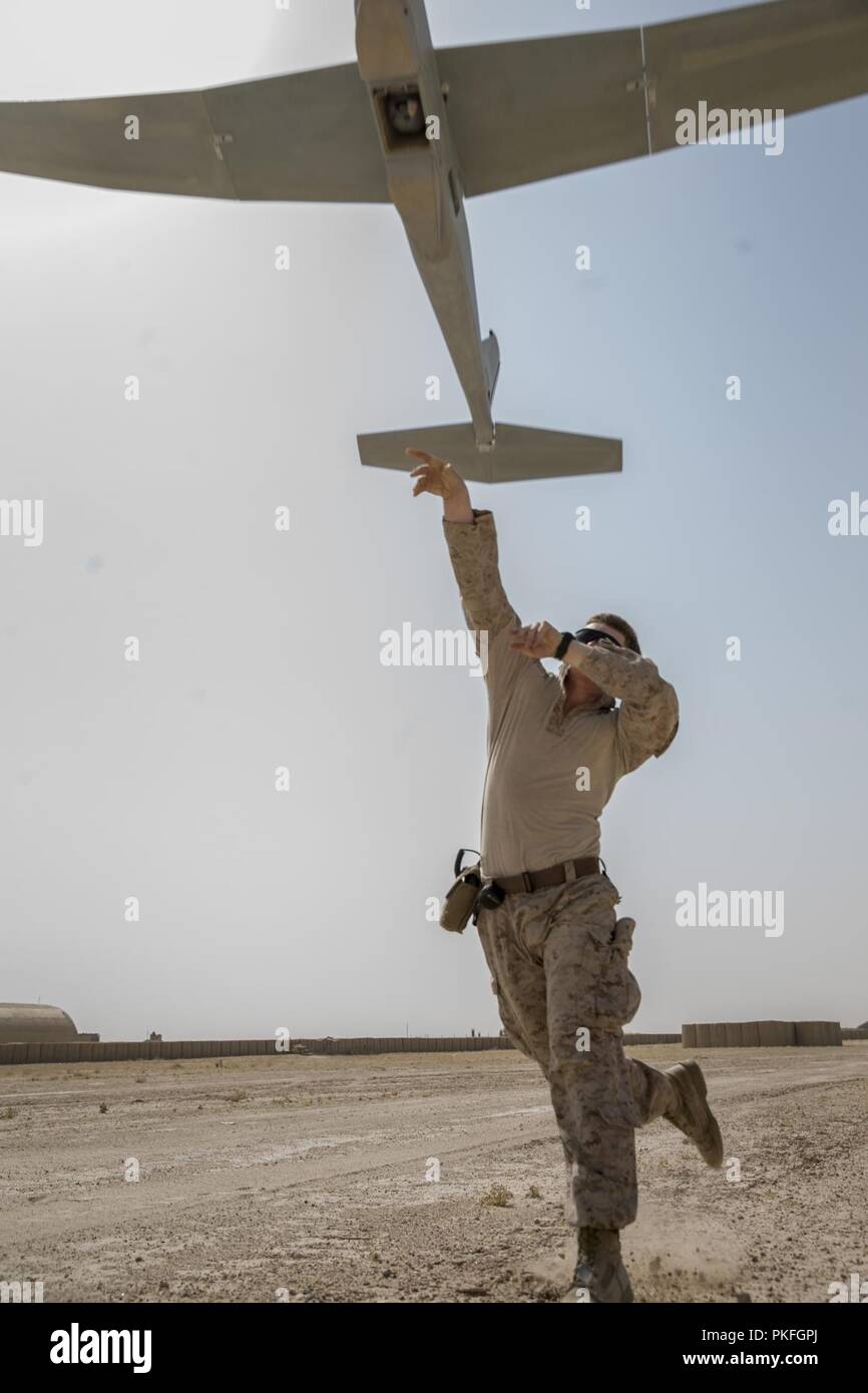 Puma rq 20 hi-res stock photography and images - Alamy