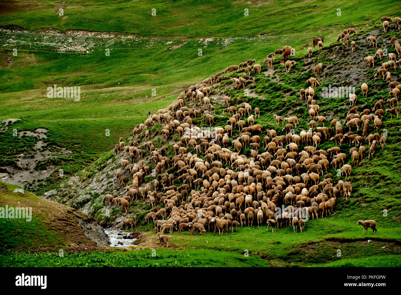 Plan de francia hi-res stock photography and images - Alamy