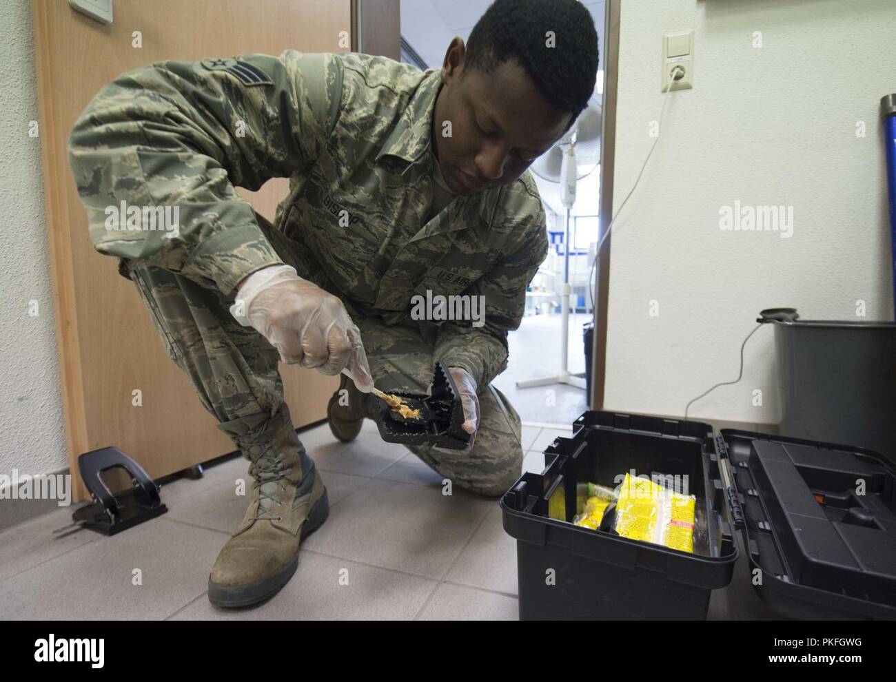 Pest infestations hi-res stock photography and images - Alamy