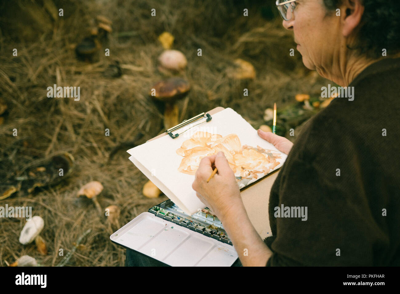 Mushroom Fungi Science Art Paintings Scientific Names Stock Photo - Alamy