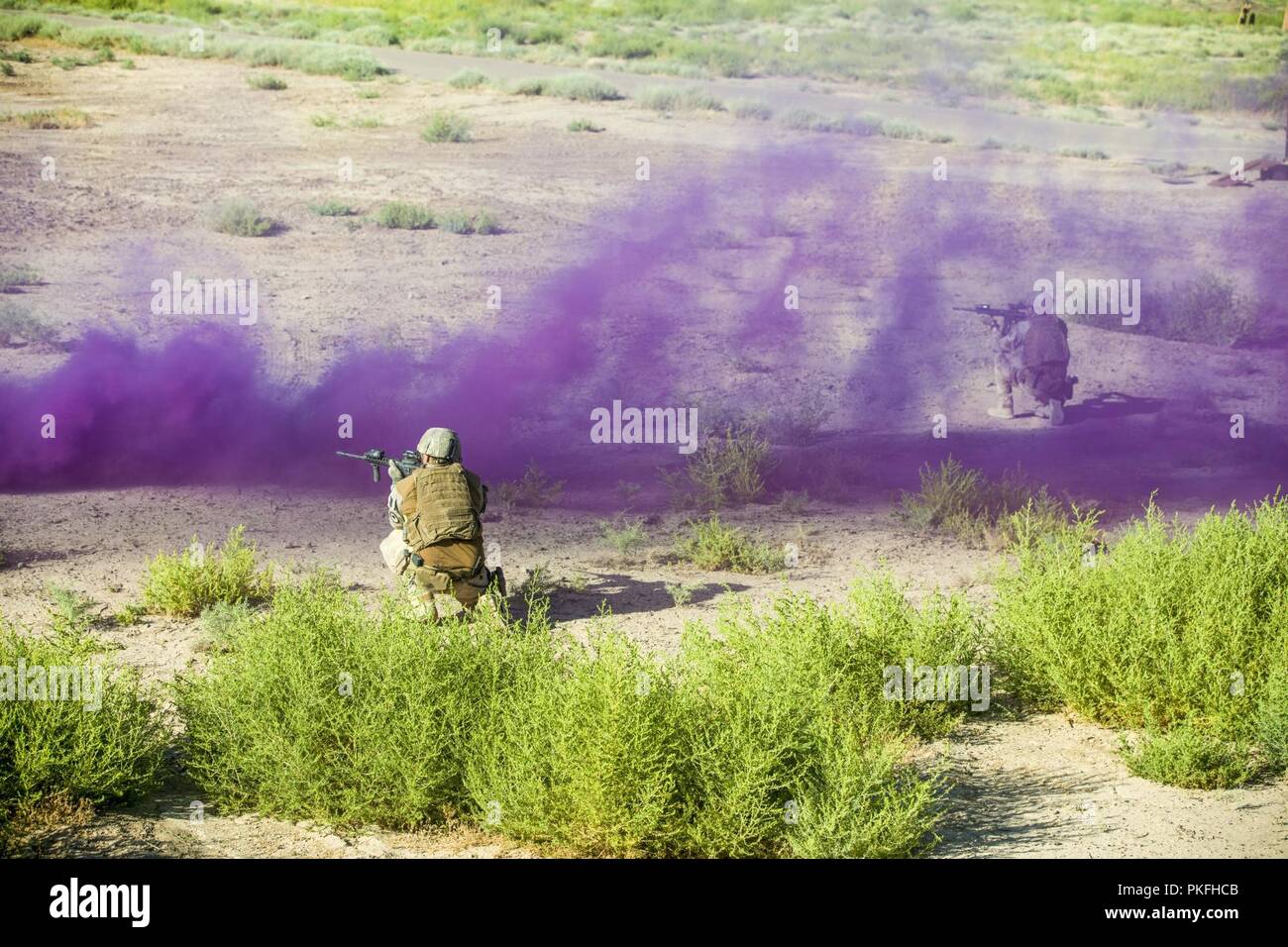 Diverse group of people new zealand hi-res stock photography and images ...