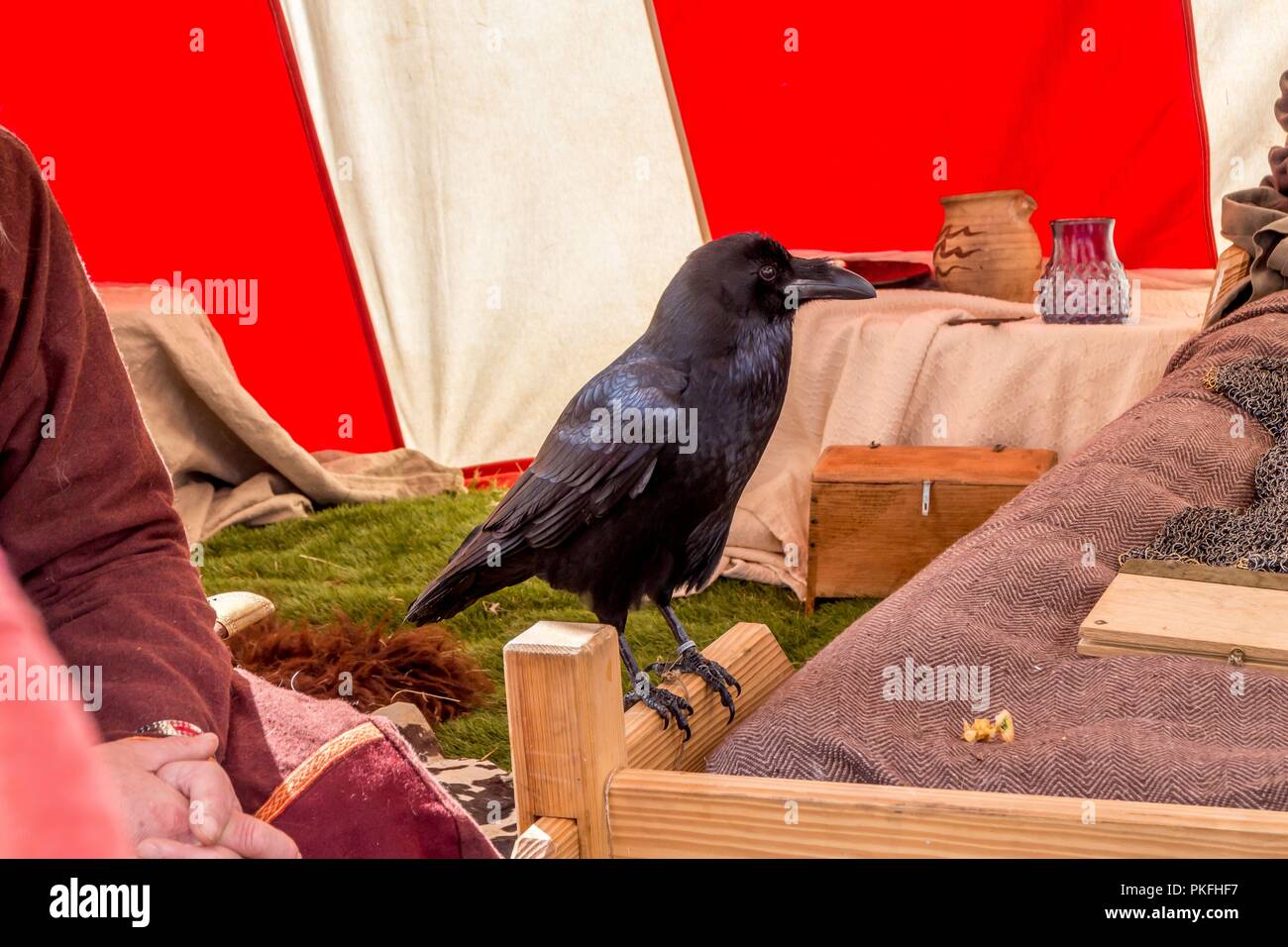 Widdicombe Fair, Widdicombe -n the Moor, Devon, UK Stock Photo - Alamy