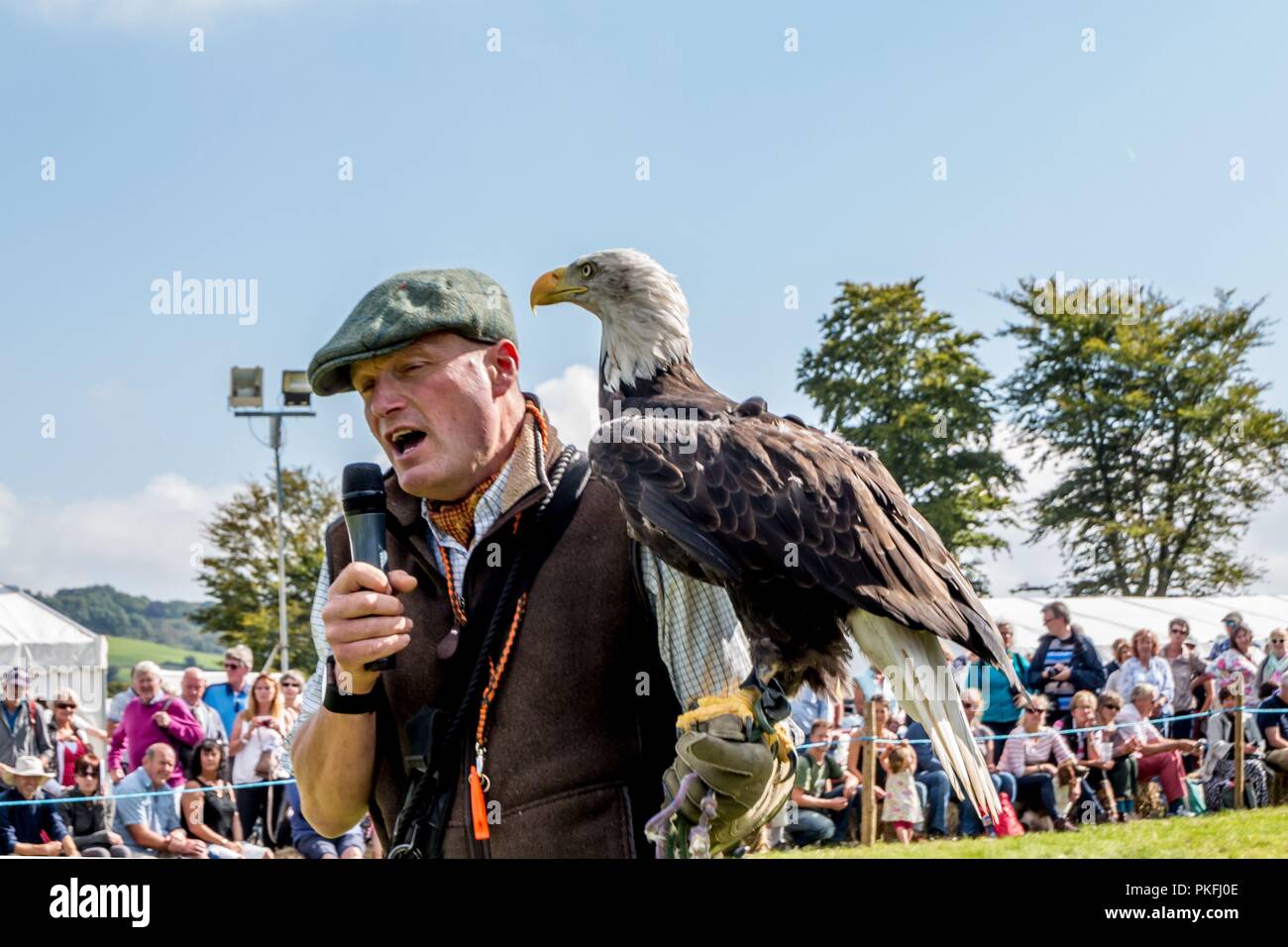 Widdicombe Fair, Widdicombe -n the Moor, Devon, UK Stock Photo - Alamy