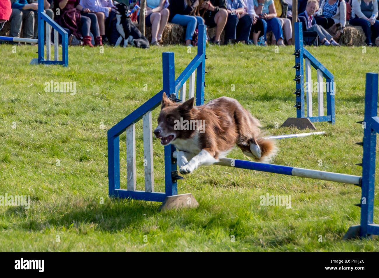 Widdicombe hi-res stock photography and images - Alamy