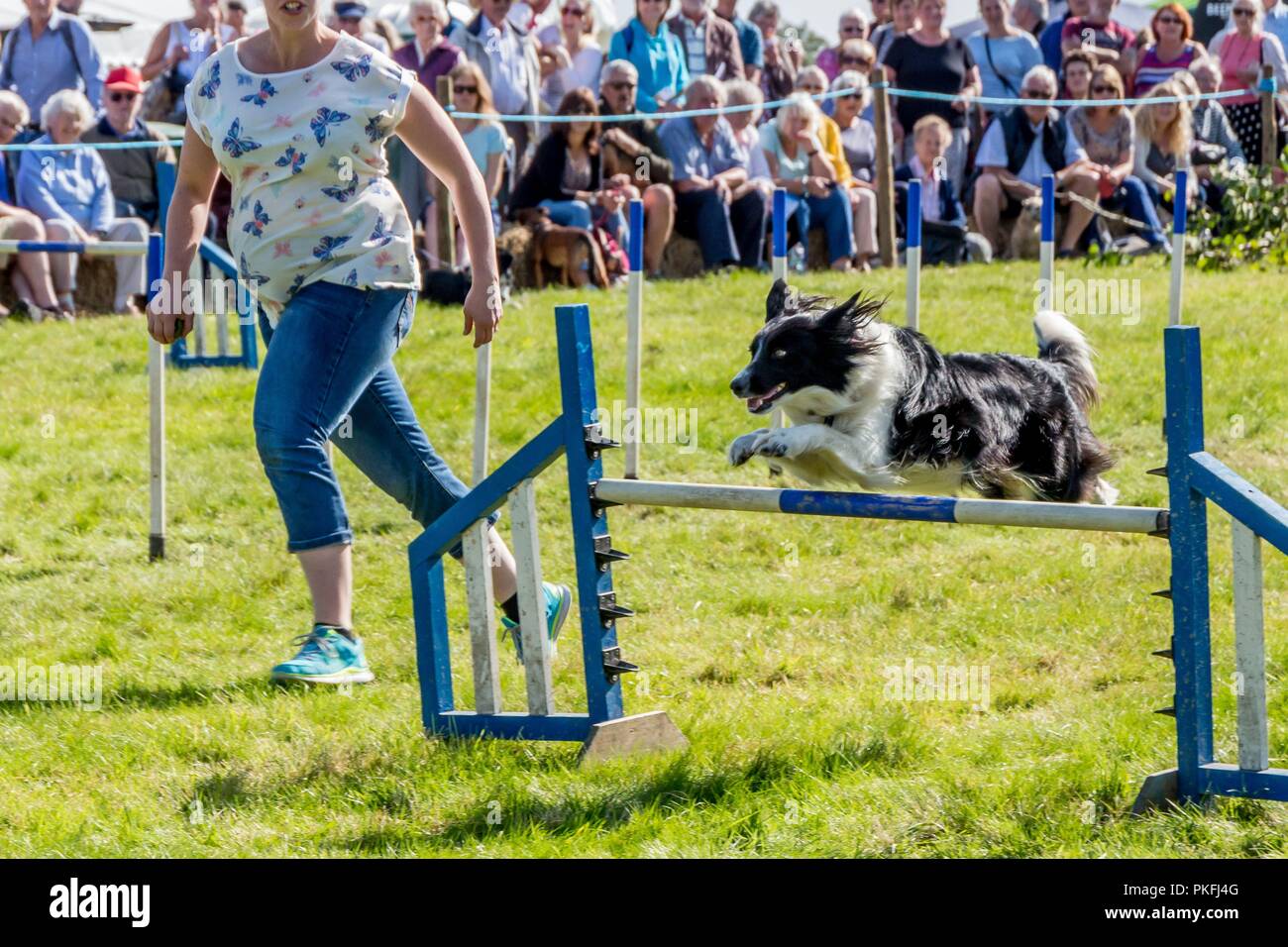 Widdicombe hi-res stock photography and images - Alamy