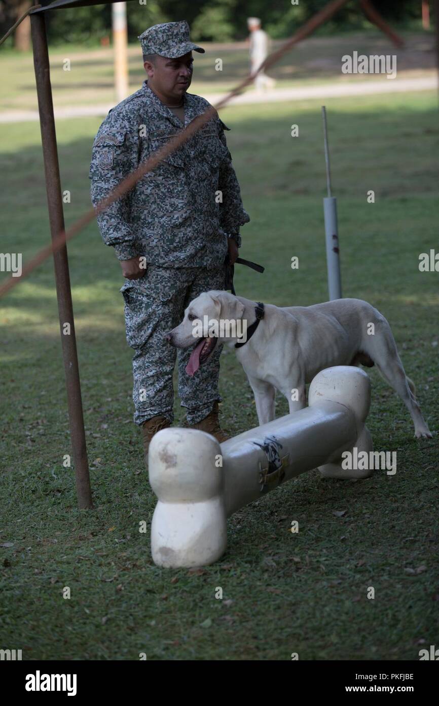 A Colombian Marine dog handler and his dog prepare to participate in a ...