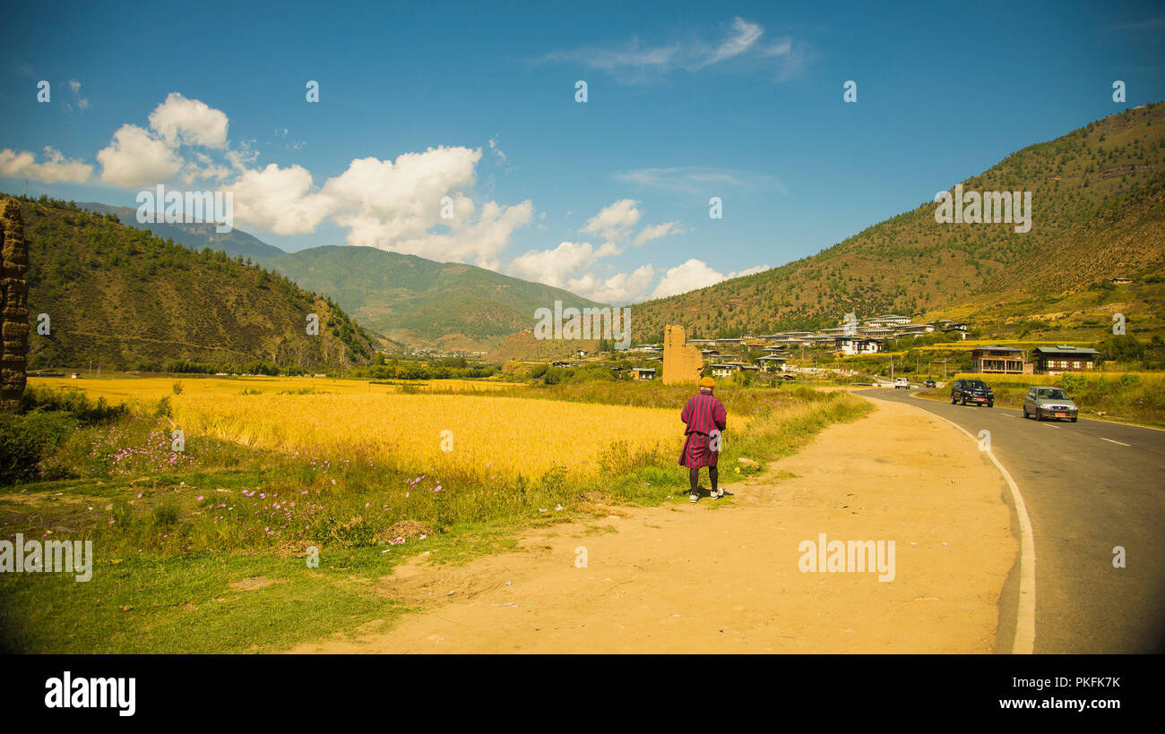 Bhutan,landscape,yellow paddy field,traditional dress ,kho,worn,by aged ...