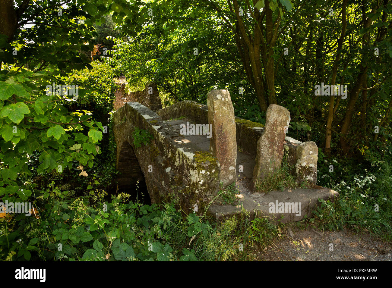 UK, Yorkshire, Wharfedale, Linton Falls, ancient stone packhorse bridge ...