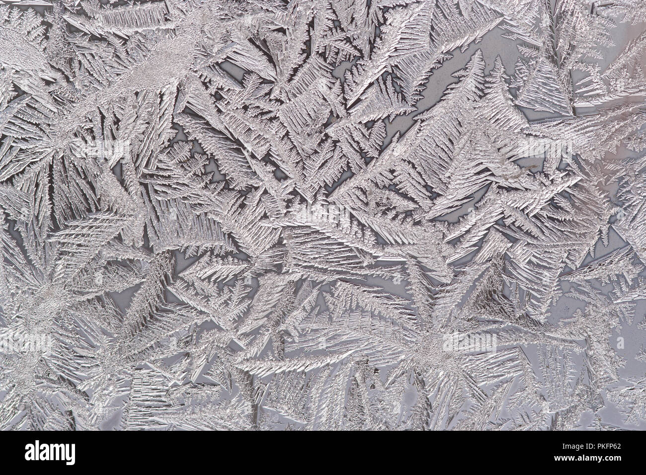 Frost flower hi-res stock photography and images - Alamy
