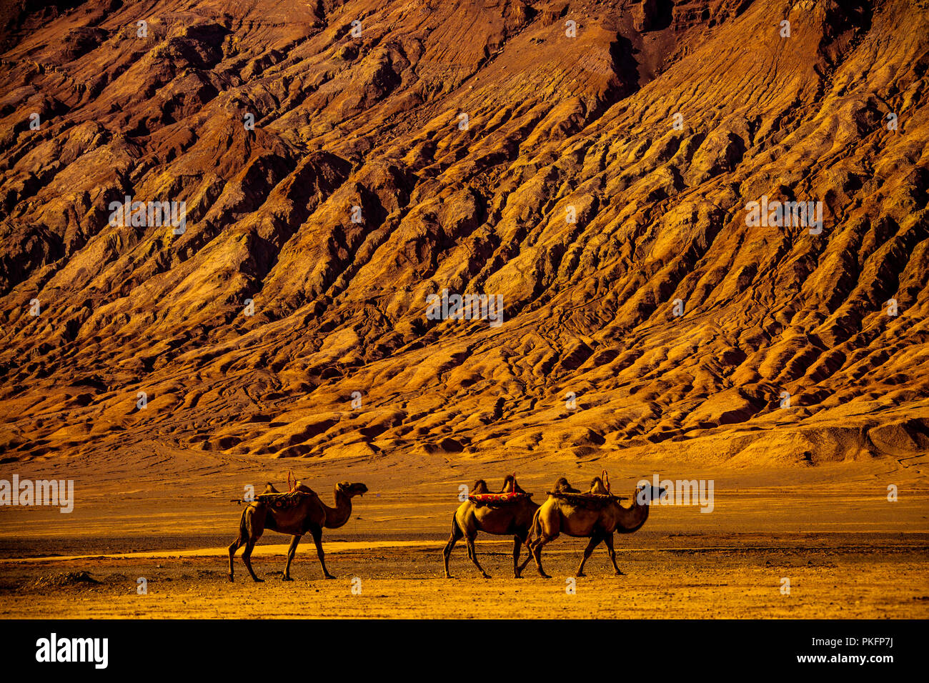 Turpan desert hi-res stock photography and images - Alamy