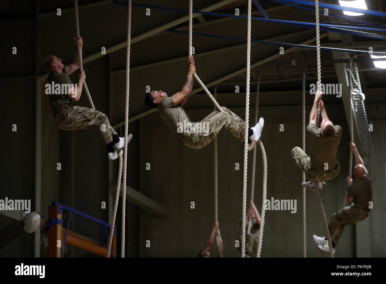 Marine Commandos climb ropes as the Duke of Sussex visits the Royal ...