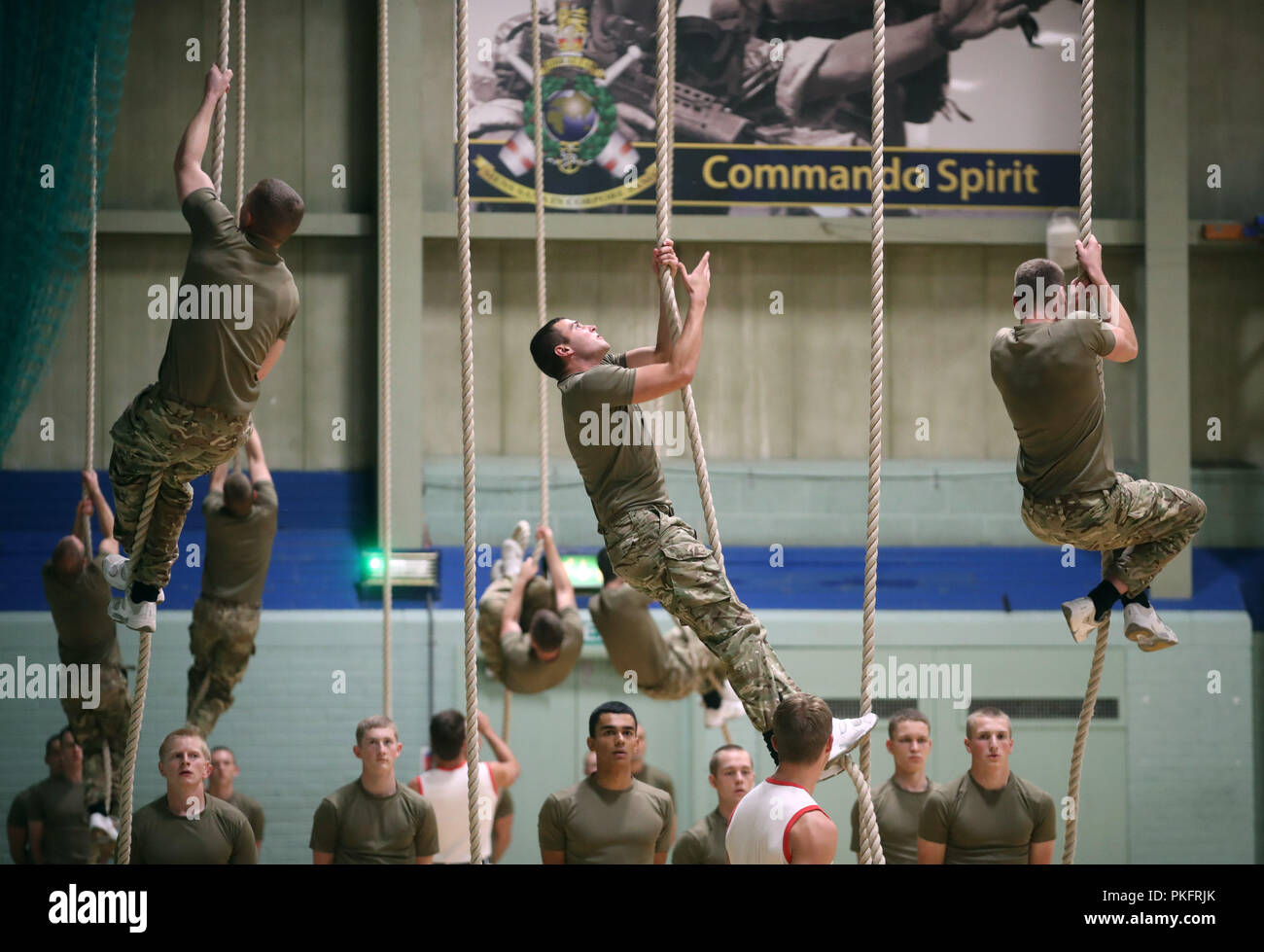 Marine Commandos climb ropes as the Duke of Sussex visits the Royal ...