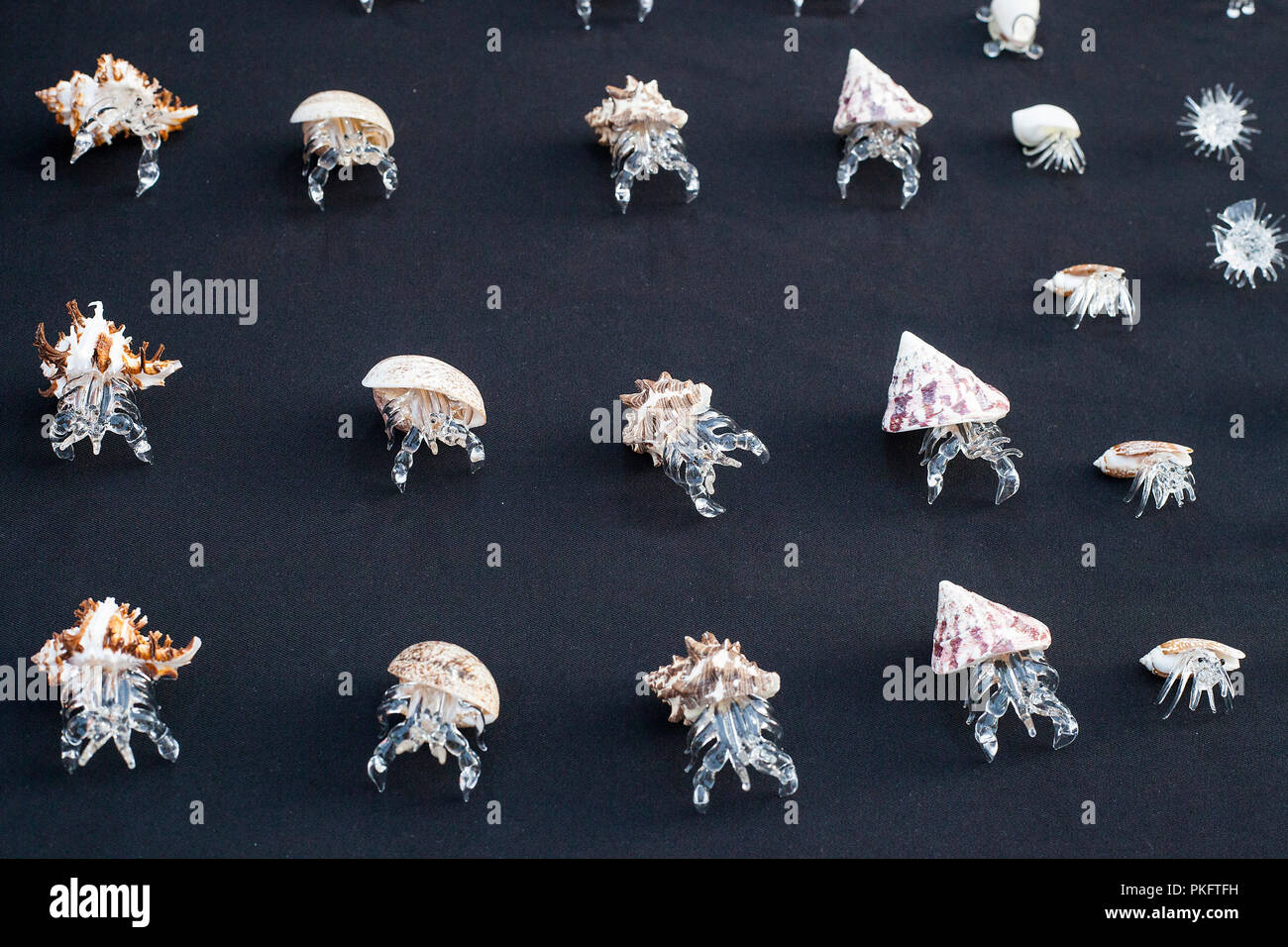 Glass crab in sea shell. Toys figurine animals display Stock Photo - Alamy