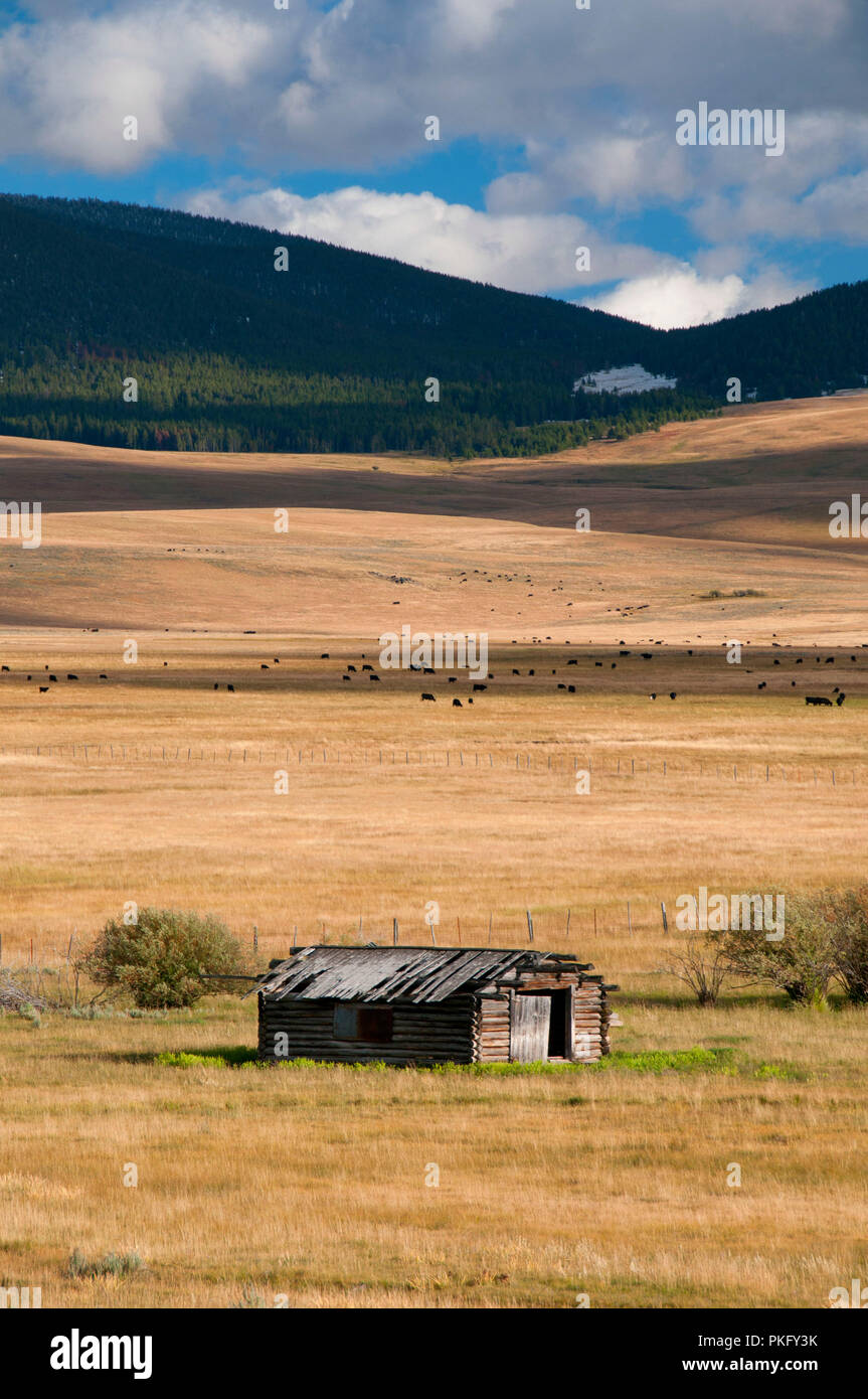 Ranch buildings in Big Hole River valley, Beaverhead County, Montana ...