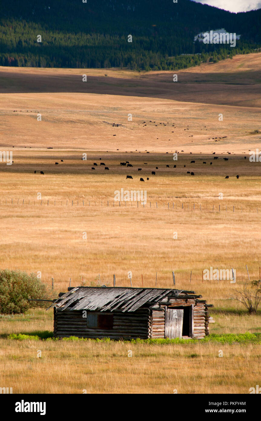 Ranch buildings in Big Hole River valley, Beaverhead County, Montana ...