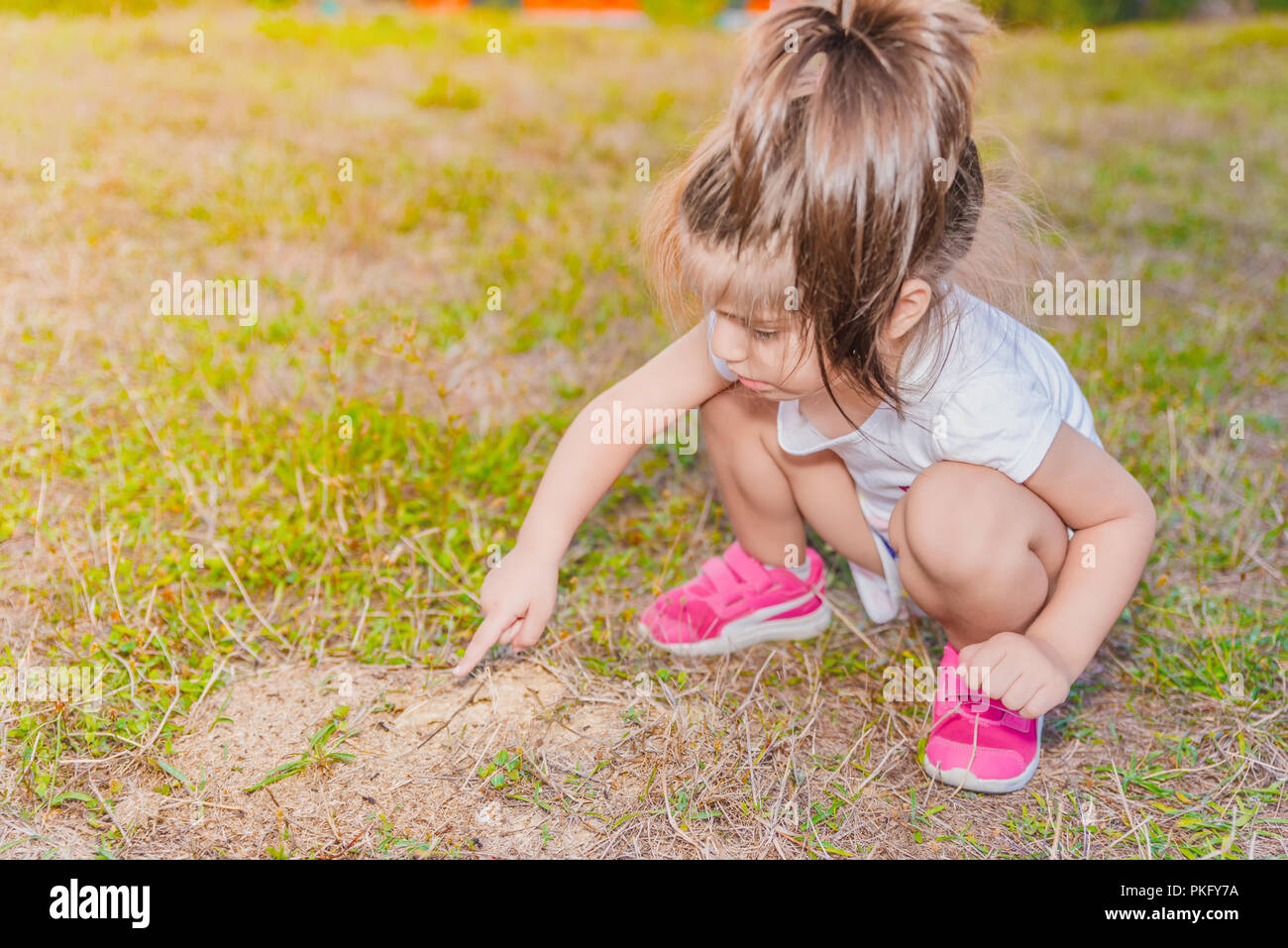 Portrait of cute little girl touching little ants with her finger on ...